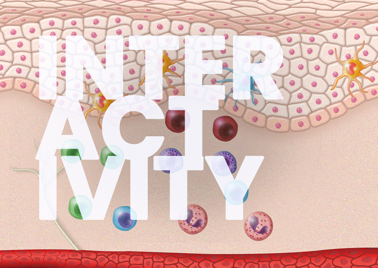 Atopic Dermatitis (AD) and Prurigo Nodularis (PN): Distinct Diseases ...
