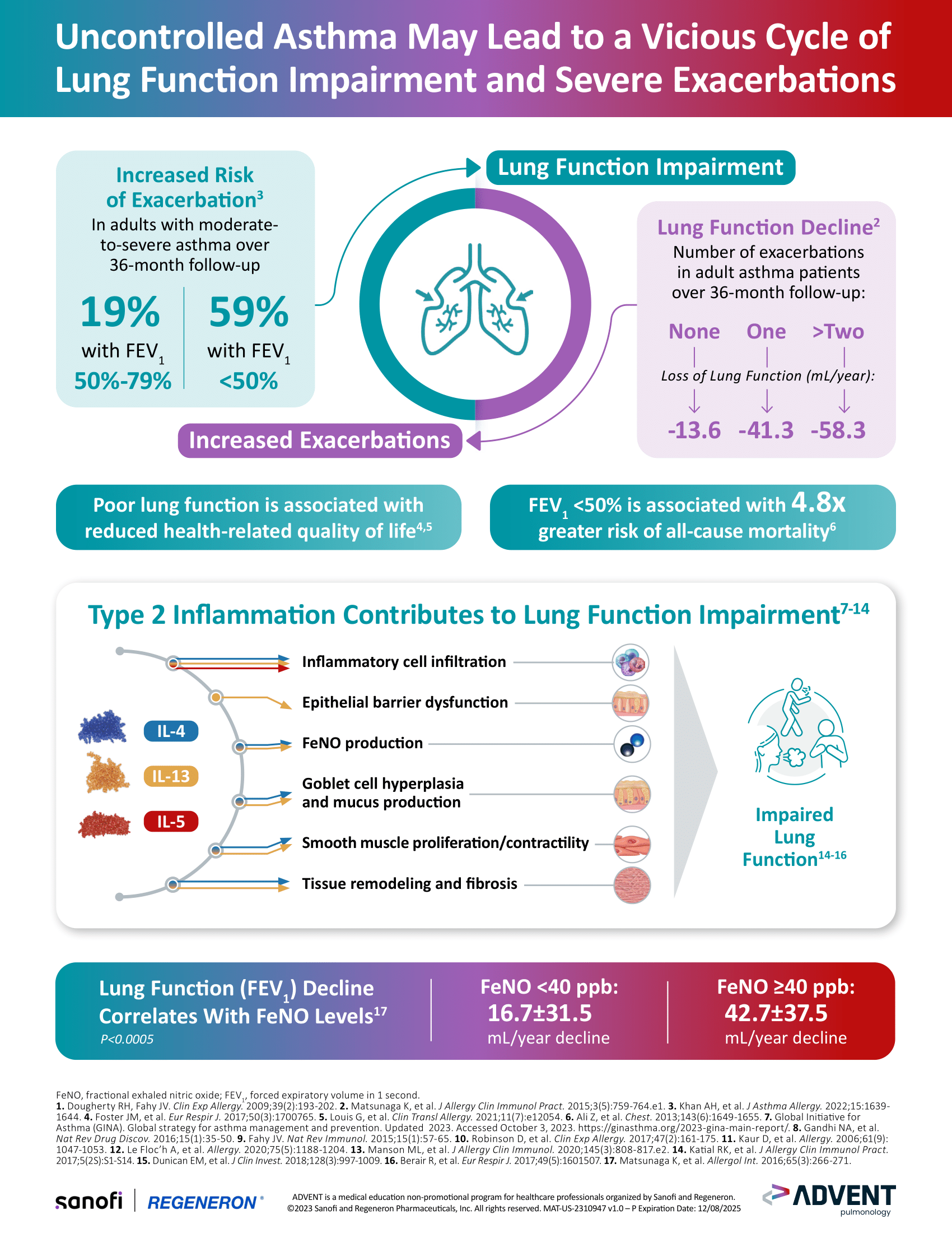 Adult Lung Function Static Infographic