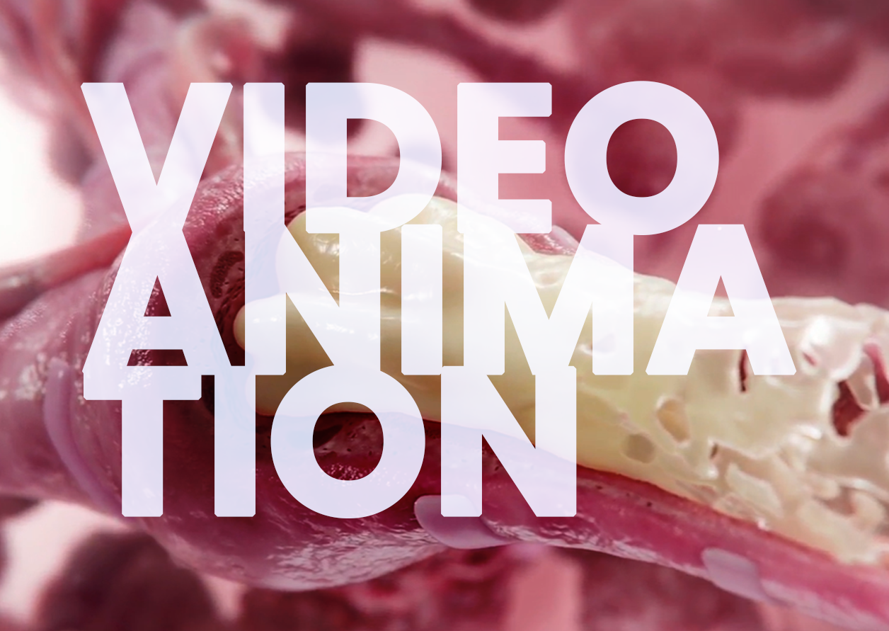 A view into the Airway: The Pathophysiology and Clinical Relevance of ...