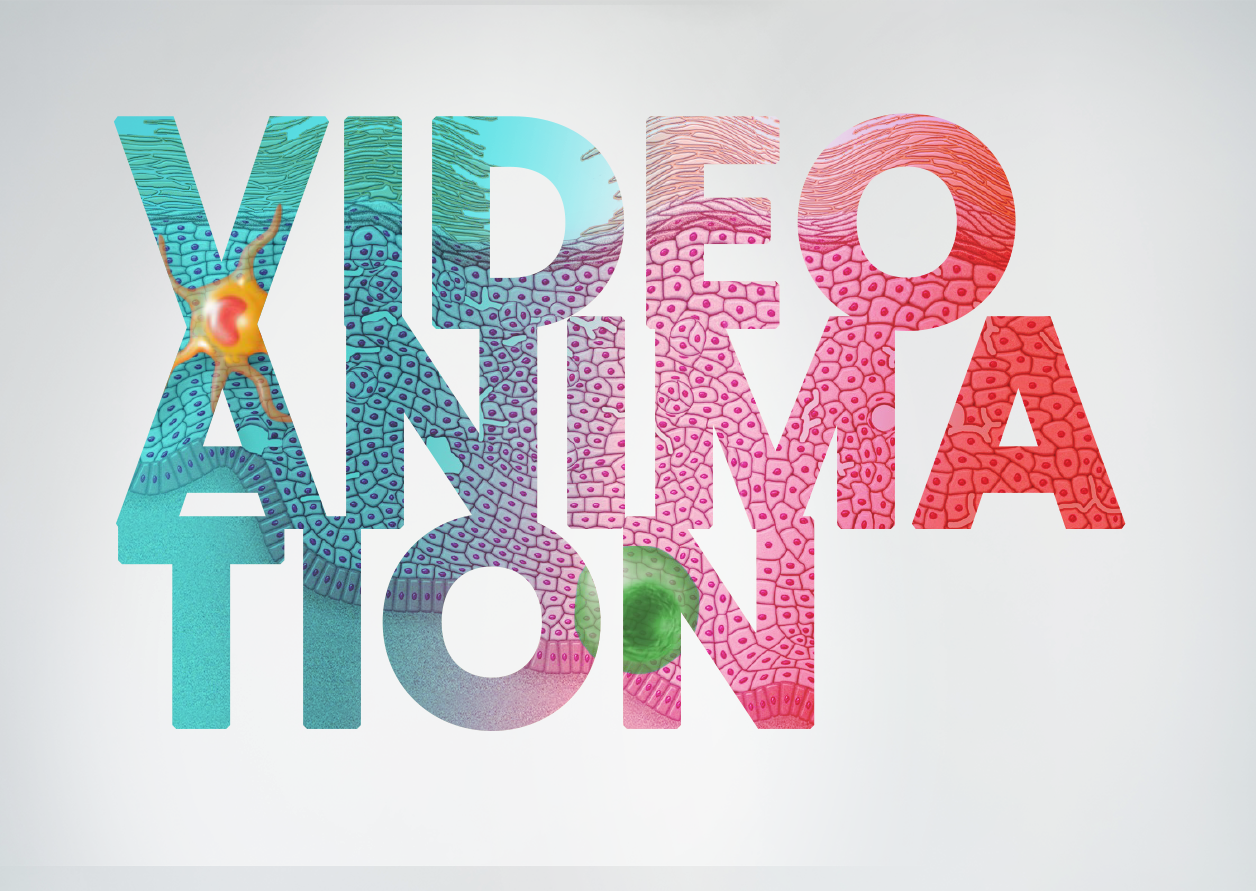 Type 2 Inflammation Drives Atopic Dermatitis from Infancy to Adulthood